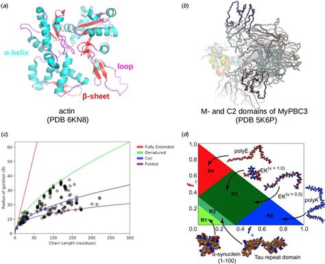 A Major Secondary Structural Elements Present In Folded Proteins Like