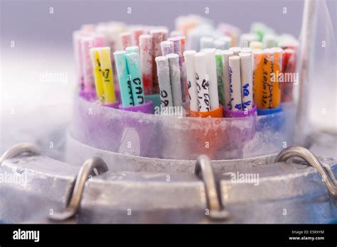 Cryopreservation Of Frozen Sperm Straws And Embryos In Liquid Nitrogen Medically Assisted