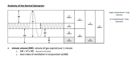 Respiratory Notes For Pulmonary Function Test Artofit