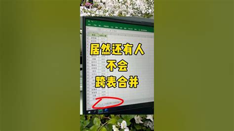跨表合并多个表格 办公技巧 职场 每天学习一点点 Excel 干货分享 Youtube