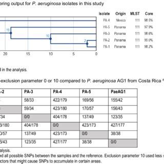 Summary Of Cgmlst And Snp Analysis Performed On The Diagnostics