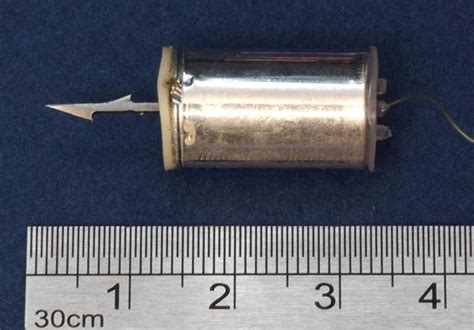 Taser Probes In Eye