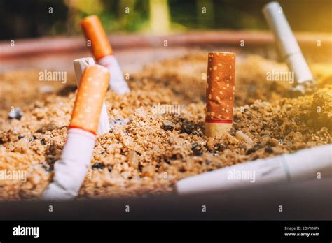 Cigarette Butts In Sand Pots No Smoking Concept Stock Photo Alamy