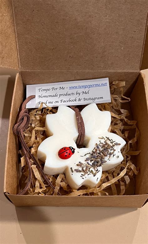 Solid Wax Chip Tempo Per Me