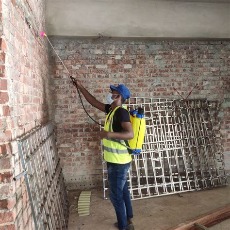 Termite Pest Control । Pest Control Near Me । Dhaka Pest Control