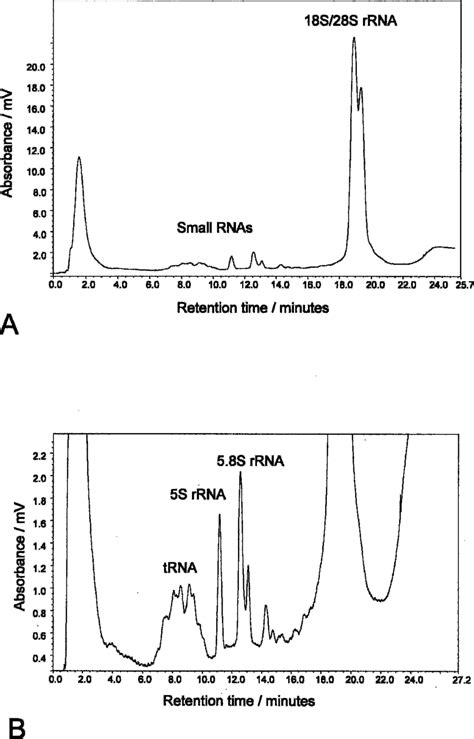 Ip Rp Mhplc Chromatogram Of Eukaryotic Total Rna The Chromatogram Download Scientific Diagram