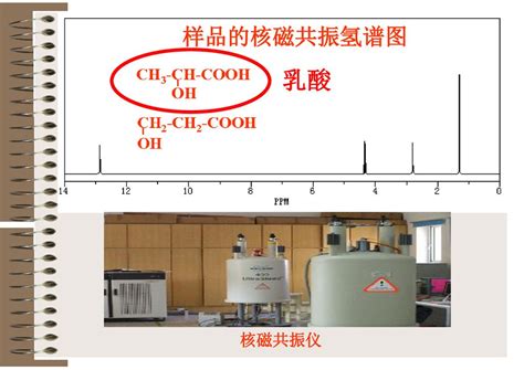 在思索的瞬间我们才真实地活着 莫里斯梅特林克 比利时 ppt download
