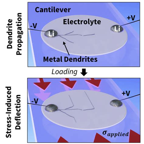 Mit Team Develops Approach To Control Dendrite Propagation In Solid