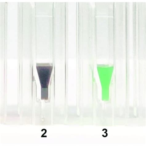 Comparison Of Test Strips Based On Different Nitrocellulose Membranes Download Scientific