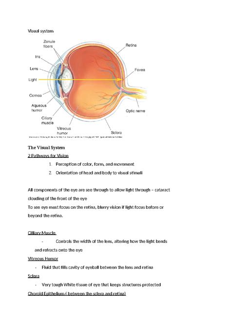 Visual System Lecture Notes Visual System The Visual System 2