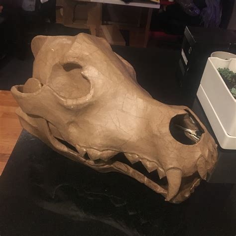 Paper maché wolf skull mask part 2 Manning Makes Stuff