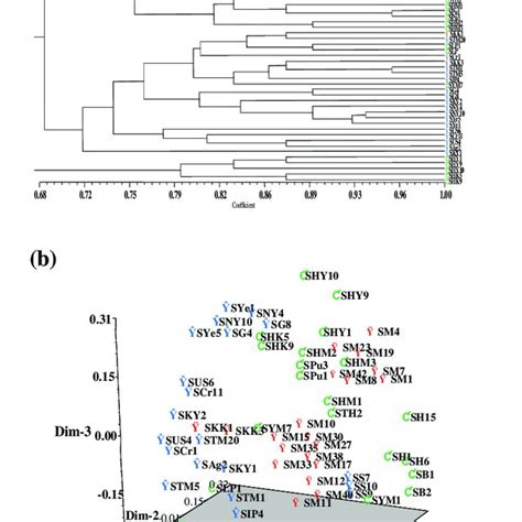 a result of dendrogram using upgma cluster analysis and b principle