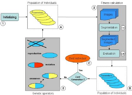 Outline Of The Method Of Automatic Segmentation Download Scientific Diagram