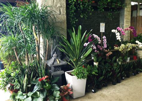 Nursery Welcome To Hawaii Landscape