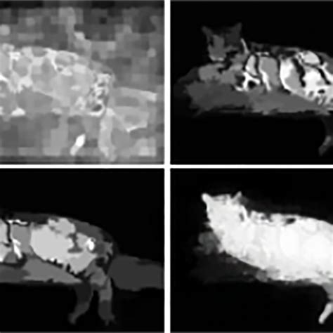 Top Row Initial Saliency Maps Under Different Layers From Left To Download Scientific Diagram