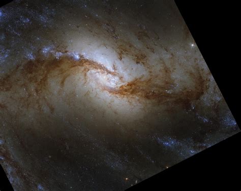 Webb Space Telescope Reveals “mind Blowing” Structure In 19 Nearby