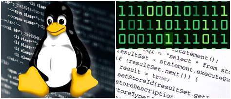 Como Compilar Traducción Del Código Fuente De Un Programa