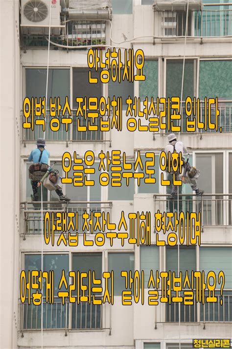 광주베란다누수로 인한 아랫집 천장 페인트 벗겨짐 일상생활배상책임 보험처리 창틀 방수작업 네이버 블로그