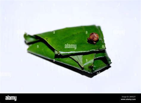 Banarasi Pan Betel Nut Indian Traditional Mouth Freshener Sweet Paan