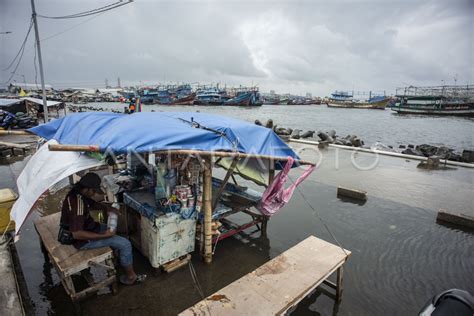 Wilayah Berpotensi Banjir Rob Jakarta Antara Foto