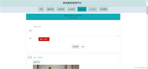 基于springboot vue前后分离的家政服务管理平台，家政管理系统（java毕业设计） 基于springboot vue的家政服务管理系统、 csdn博客
