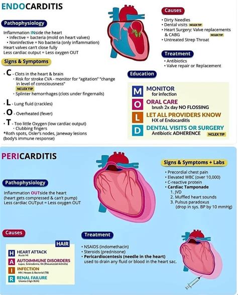 Medical Endocarditis🫀 Medical Cardio Follower Physio Everyone Socialmedia Brain