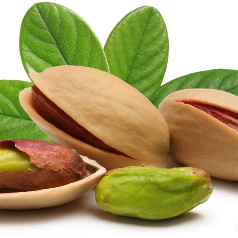 40 Nuts Wallpapers WallpaperSafari