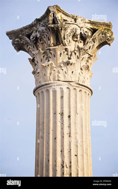 Detail Of A Fluted Corinthian Stone Column And Capital With Acanthus
