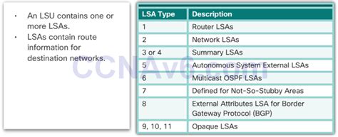 CCNA V Study Material Chapter Single Area OSPF