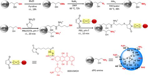 Reaction Pathways For The Synthesis Of Dpg Amine And Dpg−dox Conjugate Download Scientific
