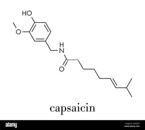Capsaicin Chili Pepper Molecule Used In Food Drugs Pepper Spray Etc