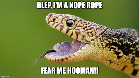 Nope Rope Imgflip