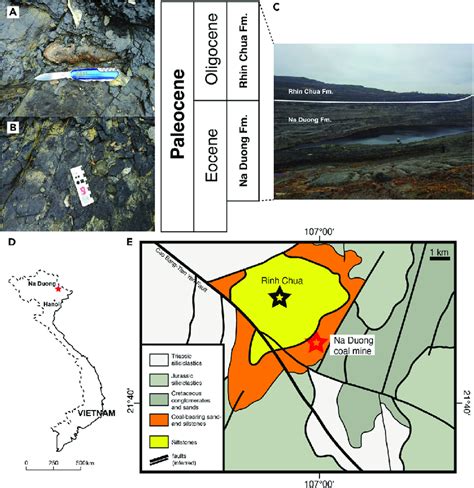 Locality Where The Coprolites Were Retrieved A In Situ Coprolites At
