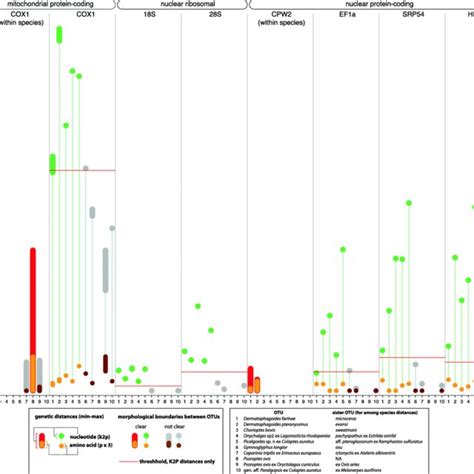 Comparison Within And Among Species Max Min Genetic Distances Across Download Scientific