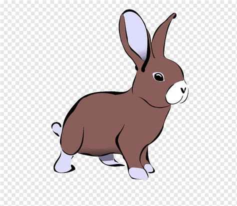 Rabbit Animation Telegraph