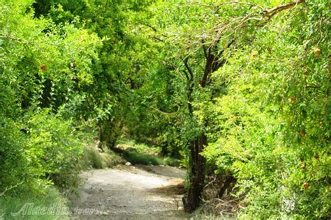 تنگ بوان نورآباد دیدنی های نورآباد علاءالدین تراول