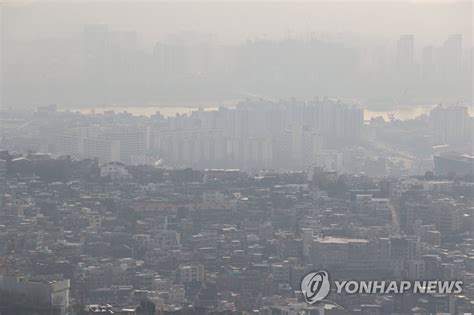 경기 중부 미세먼지경보동부·남부·북부 주의보 유지 나무뉴스