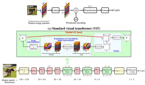 100 Mobilevit V1 V2 V3 · Issue 130 · Dhkim02251day1paper · Github