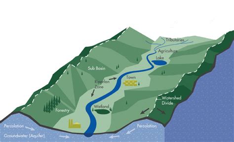 What Is A Watershed Alabama Cooperative Extension System