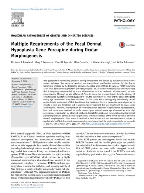 Pdf Multiple Requirements Of The Focal Dermal Hypoplasia Gene