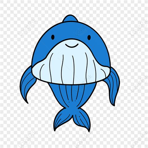 귀여운 만화 일러스트 고래 바다 푸른바다생물해양생물 Png 일러스트 무료 다운로드 Lovepik