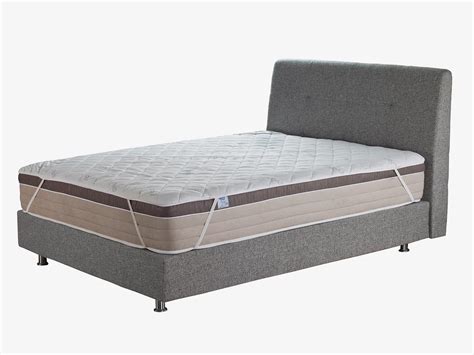 ריפודית גרסי Polyron