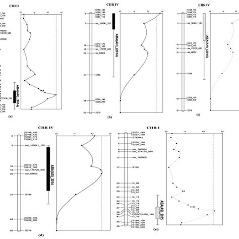 Location And Lod Graphs Of The Qtls Identified By Composite Interval