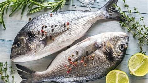 Los Pescados Con Menos Contenido De Mercurio Que Debes Añadir A Tu