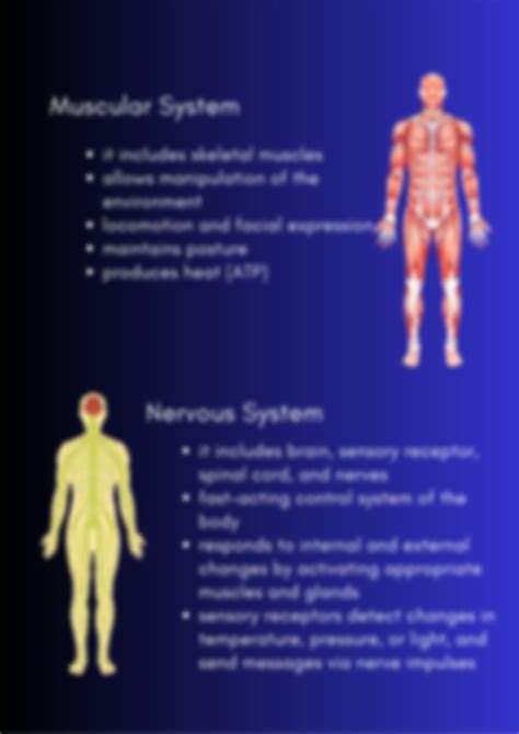SOLUTION Anatomy Physiology Introduction Studypool