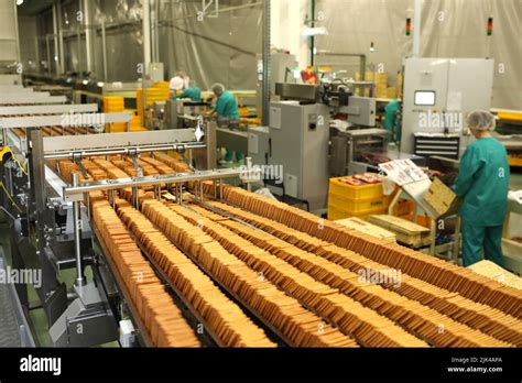 A Lot Of Cookies On The Production Line The Flow Of Sweets Before