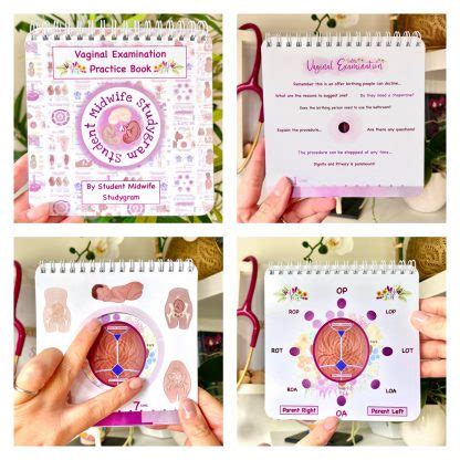 Babe Midwife Studygram Revision Resources For Midwives
