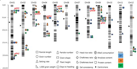 The Positions Of 79 Qtls For Yield Components And Quality Traits
