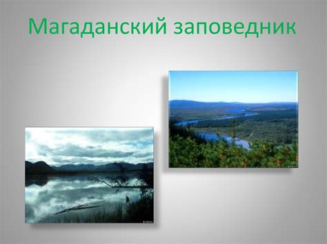 Магаданский заповедник презентация онлайн