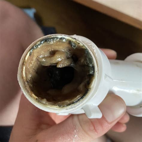 1 Air Conditioning Issue In Austin Tx Homepoint